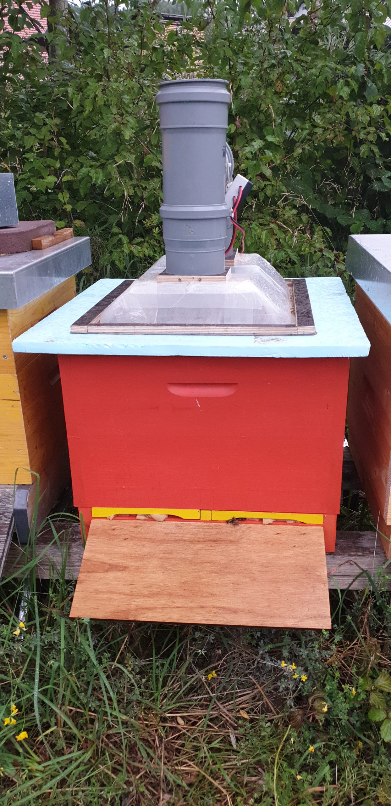 Varroabehandlung 1 – beegeistert.com